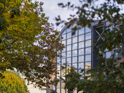 Seifter, Wiercioch, Schnur named UW Law School teachers of the year ...